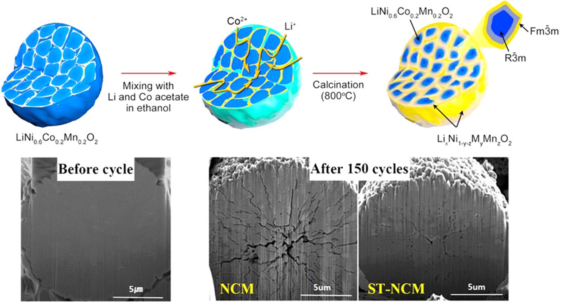 Battery Power Online | New Directions in Lithium-Ion Battery Cathodes ... Battery Power Online | New Directions in Lithium-Ion Battery Cathodes ...